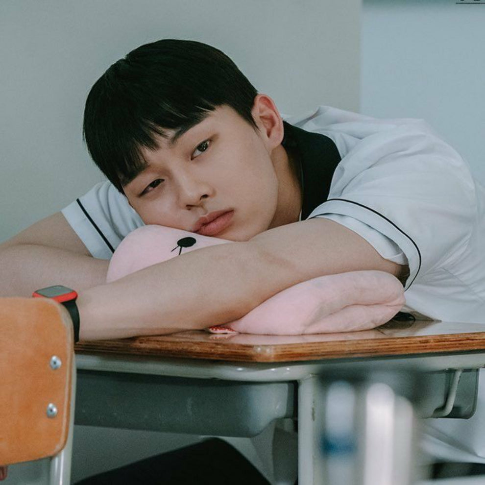 Suho’s Pink Bunny Pillow – HeroNap